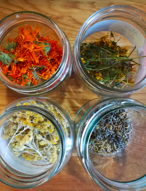 Concevez votre infusion à base de plantes et fleurs - La Cabane à Plantes